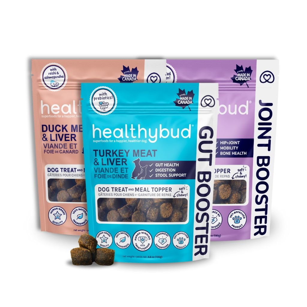 Functional Superfood Dog Treats - Boost Health & Wellbeing | Healthybud ...