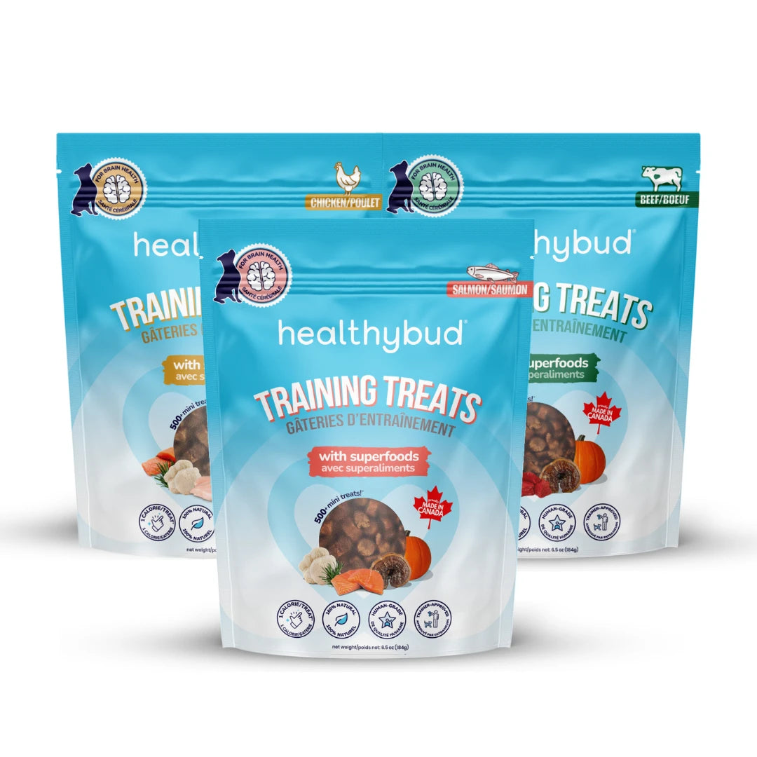 Mini Training Treats – Low-Calorie & Functional – healthybud