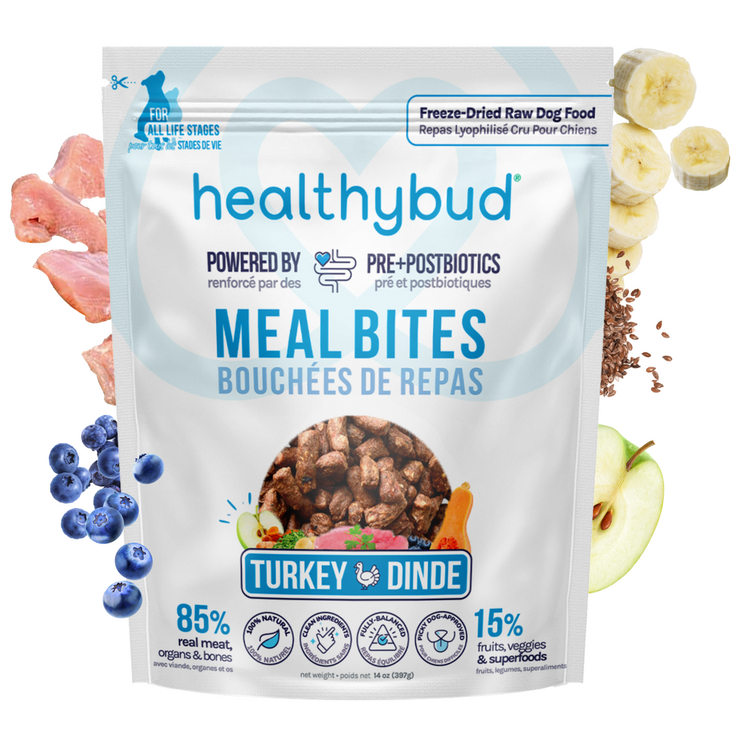 Shop Freeze-Dried Dog Food, Natural Treats & Superfood Chews – healthybud