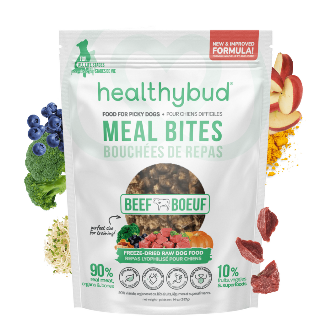 Shop Freeze-Dried Dog Food, Natural Treats & Superfood Chews – healthybud
