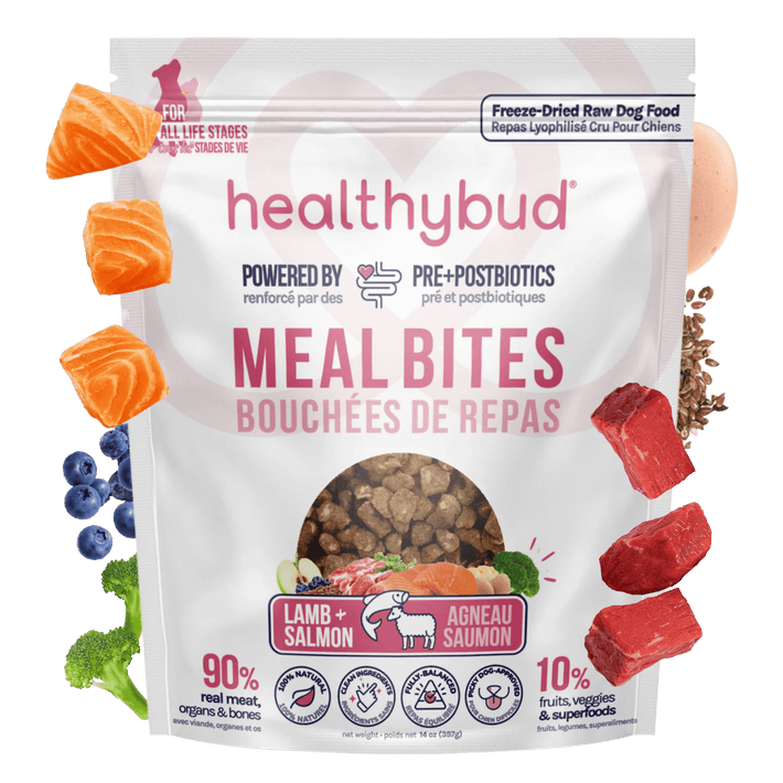 Healthybud Freeze-Dried Dog Food | Gut Support with Prebiotics – healthybud